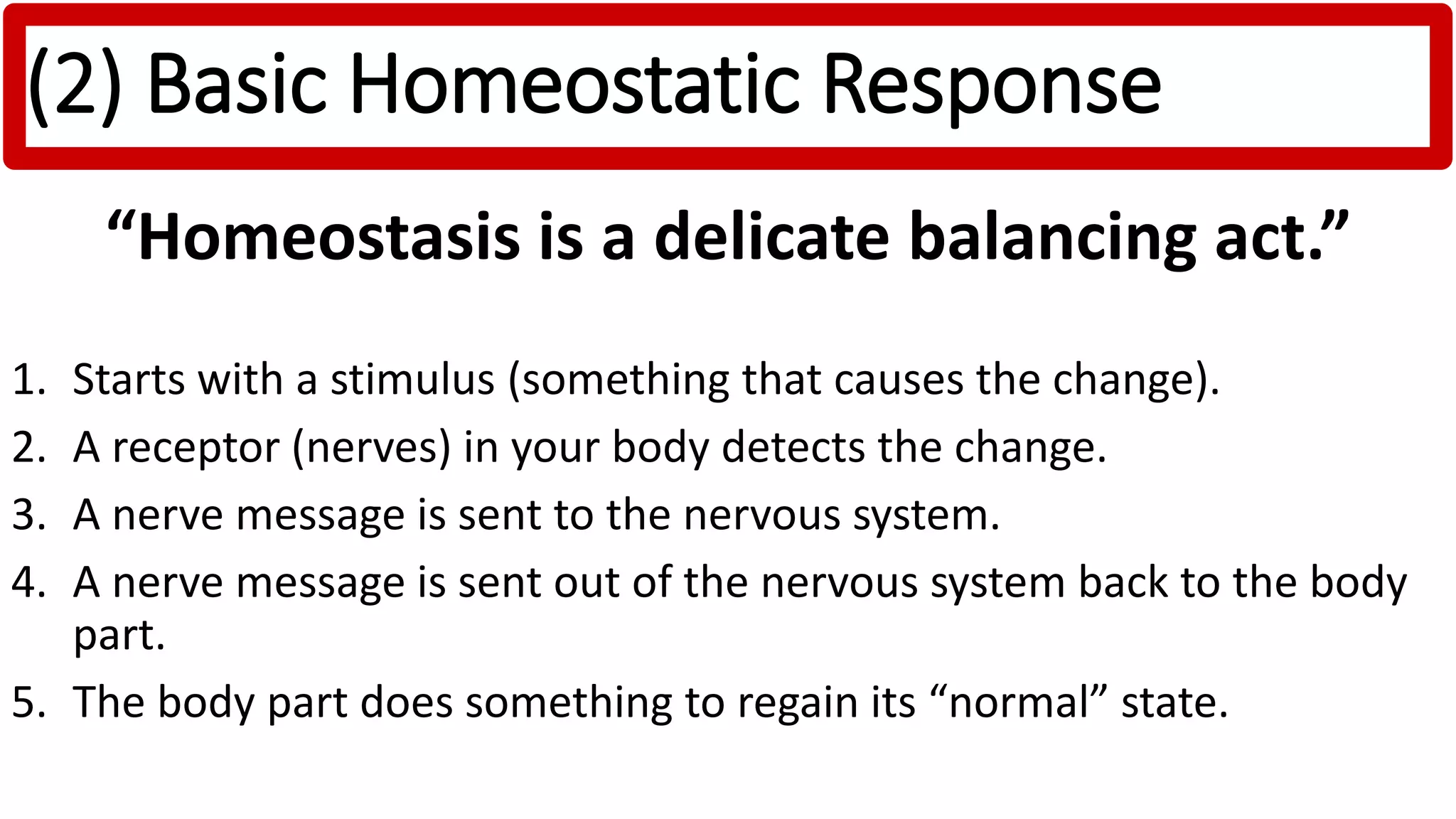 Ths general biology unit 3 cell processes homeostasis and feedback ...