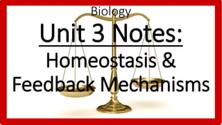 Ths general biology unit 3 cell processes homeostasis and feedback ...