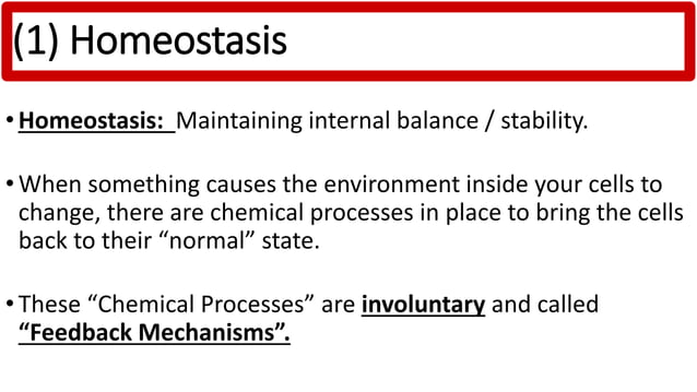 Ths general biology unit 3 cell processes homeostasis and feedback ...