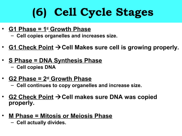 Ths general biology unit 4 heredity cell cycle notes | PPT