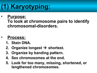 Ths general biology unit 4 heredity karyotyping notes_v1516 | PPT