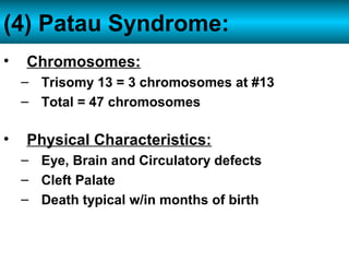 Ths general biology unit 4 heredity karyotyping notes_v1516 | PPT
