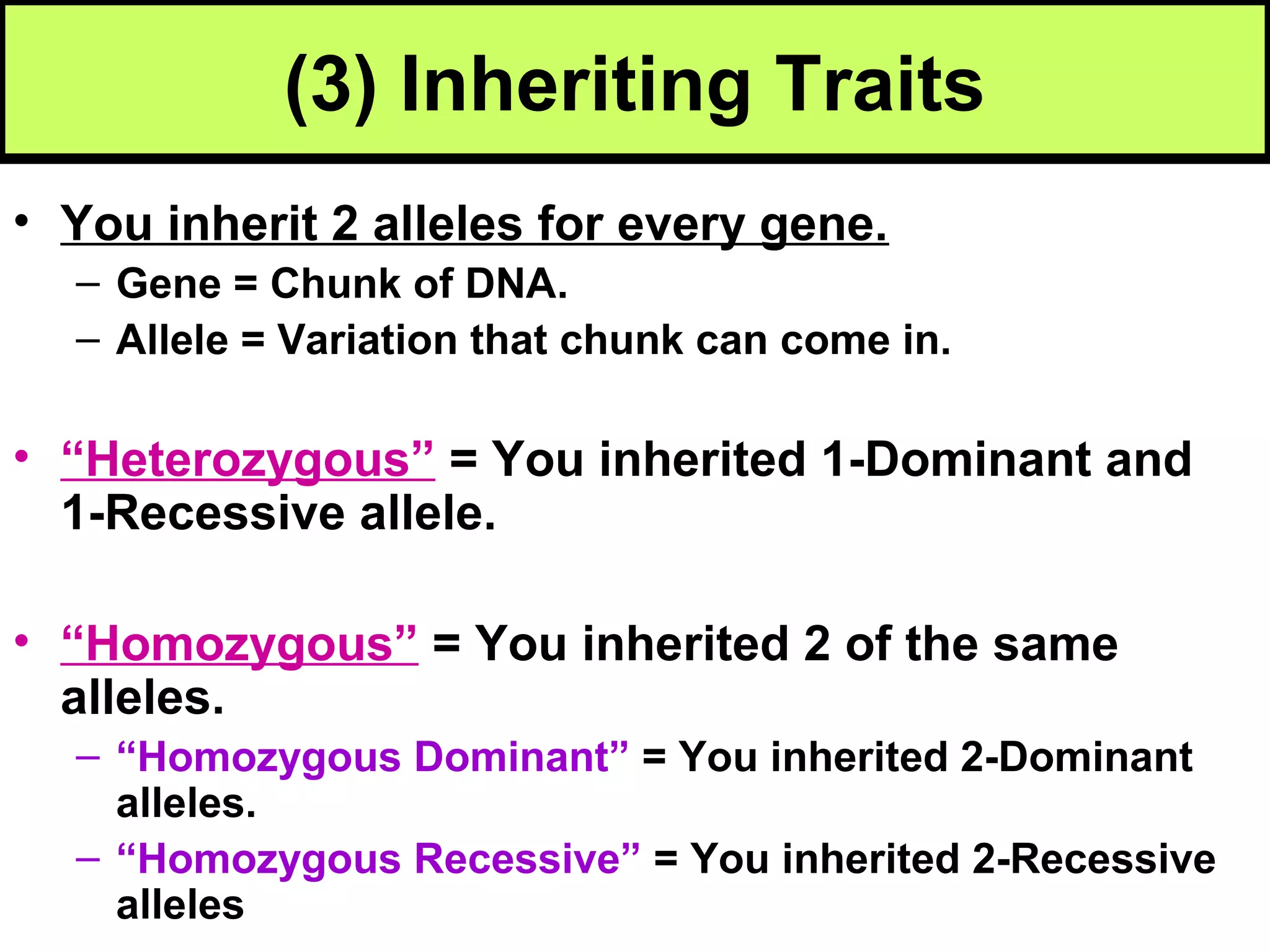 Ths general biology unit 4 heredity mendelian genetics notes_v1516 ...