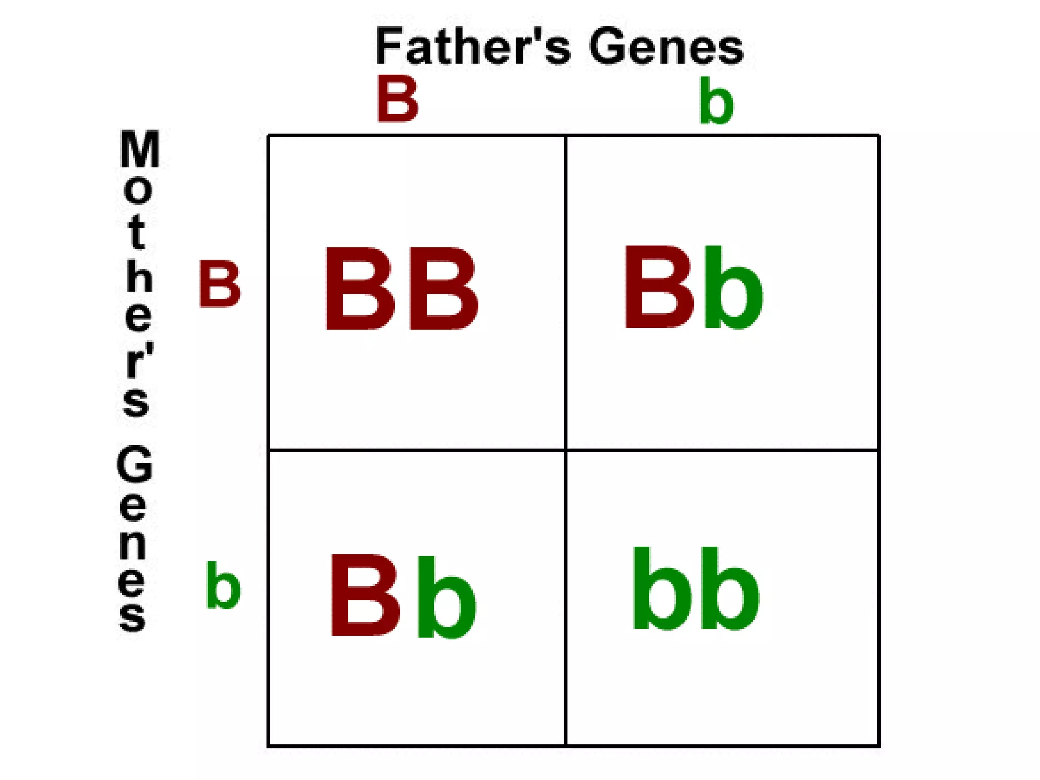Ths general biology unit 4 heredity mendelian genetics notes_v1516 | PPT