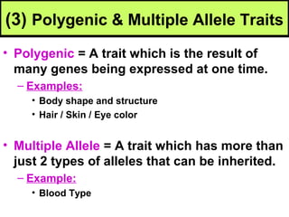 Ths general biology unit 4 heredity non mendelian genetics notes_v1516 ...