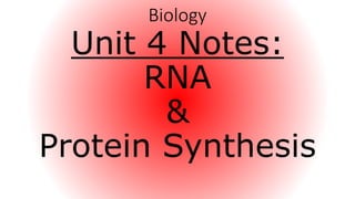 Ths general biology unit 4 heredity protein synthesis notes_v1516 | PPTX