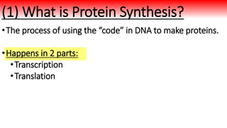 Ths general biology unit 4 heredity protein synthesis notes_v1516 | PPT