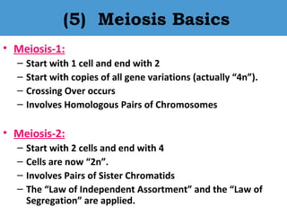 Ths general biology unit 4 heredity reproduction and meiosis notes ...