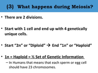 Ths general biology unit 4 heredity reproduction and meiosis notes ...
