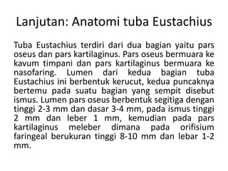 THT-KL.pptx
