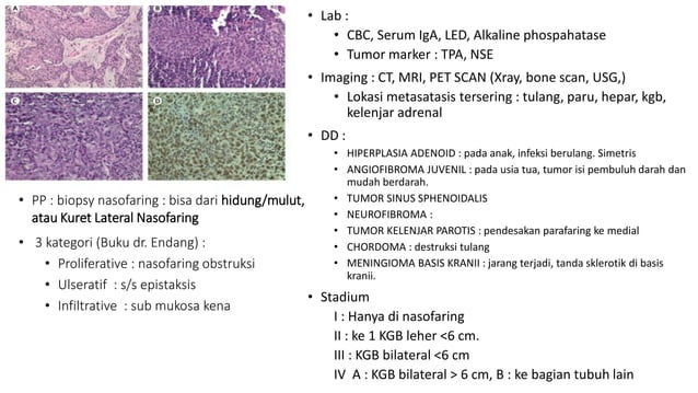 Rangkuman anam pf dx Telinga hidung tenggorok - FK | PDF