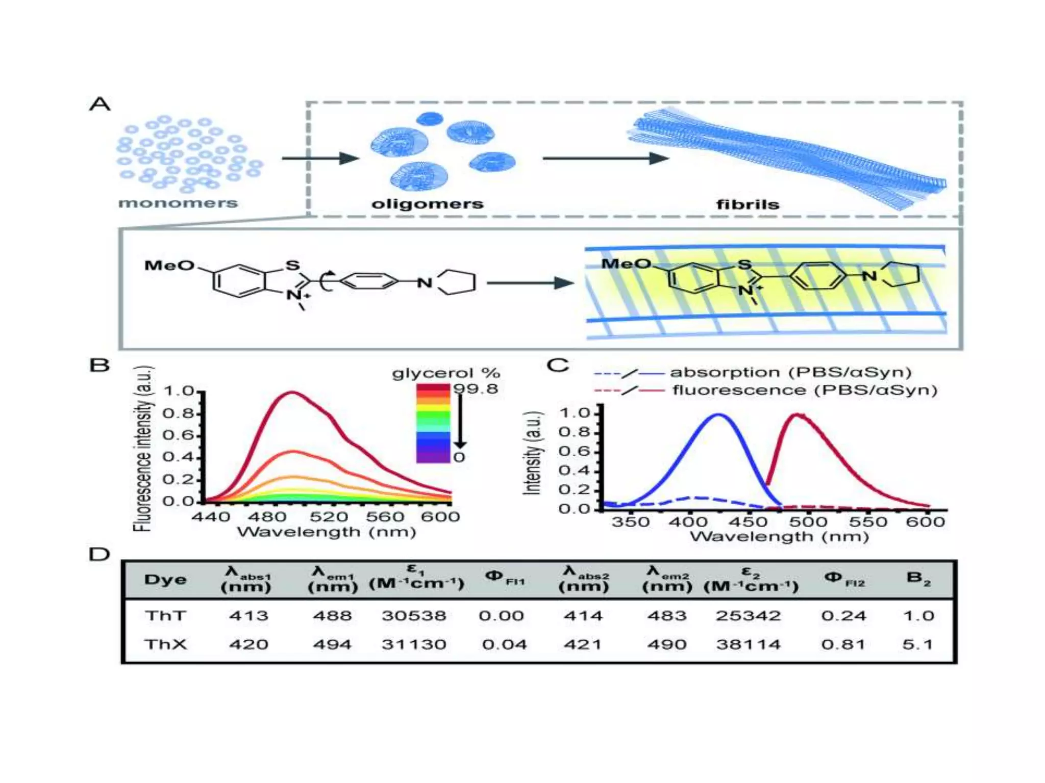 Thioflavin T assay | PPTX