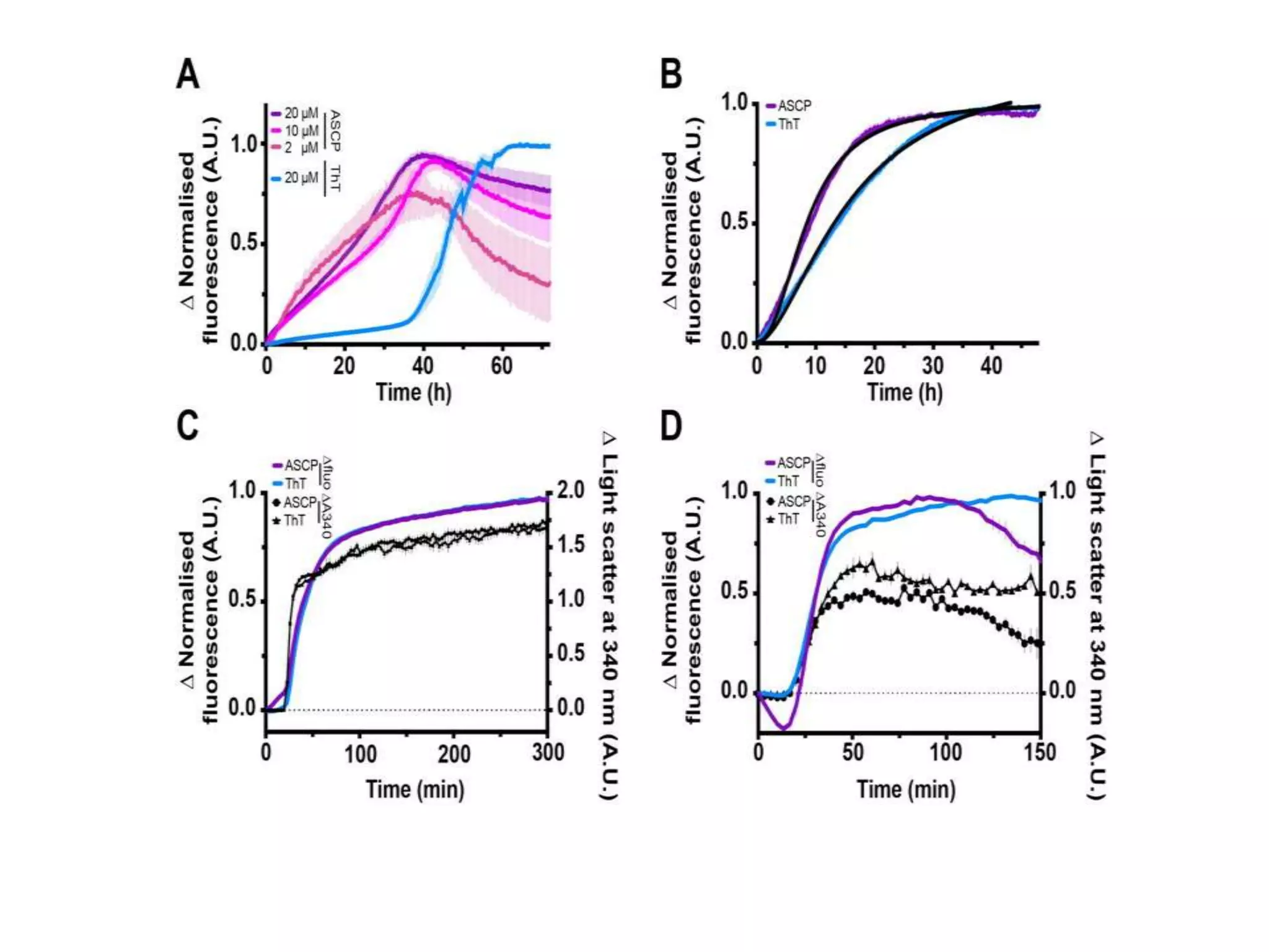 Thioflavin T assay | PPTX