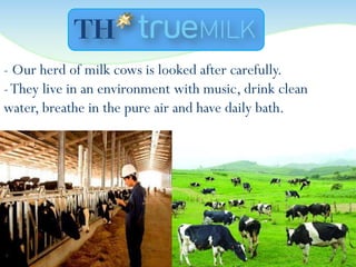 TH true milk | PPTX