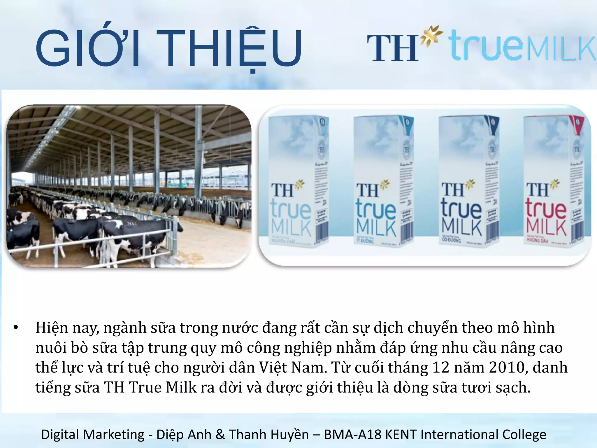 Digital Marketing Th true milk sinh vien Kent | PDF