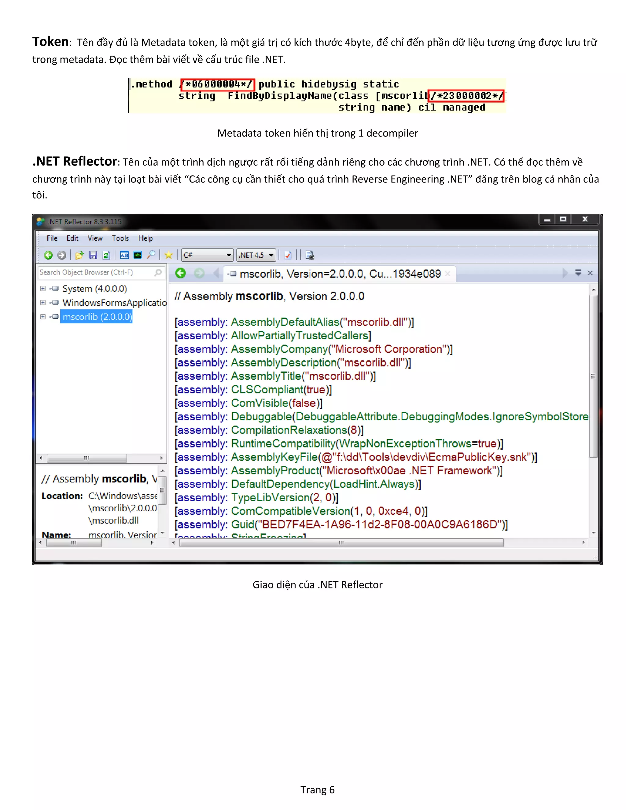 Những thuật ngữ thường gặp trong Reverse Engineering .NET