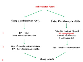 Thuc hanh-dieu-tri-helicobacter-pylori | PDF