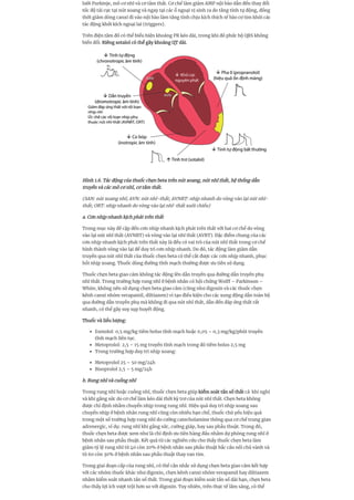 Thuốc tim mạch trong thực hành lâm sàng.pdf