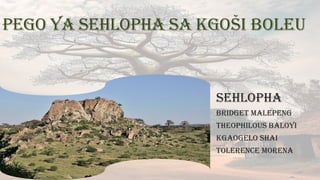 THULAGANYO YA_LEGOKOLODI LA_MAREGA.pptx