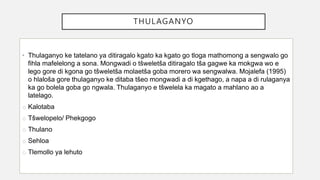 Thulaganyo ya Podilane Mankga.pptx