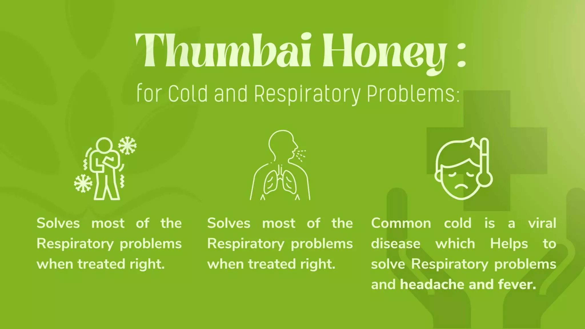 Thumbai poo honey- Thumbai flower honey- Wild honey hunters | PPT