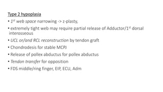 Congenital Thumb Deformities | PPTX