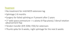 Congenital Thumb Deformities | PPTX