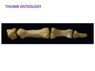 THUMB HYPOPLASIA- Eknath.pptx