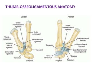 THUMB HYPOPLASIA- Eknath.pptx