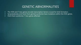 Thumb hypoplasia(4).pptx