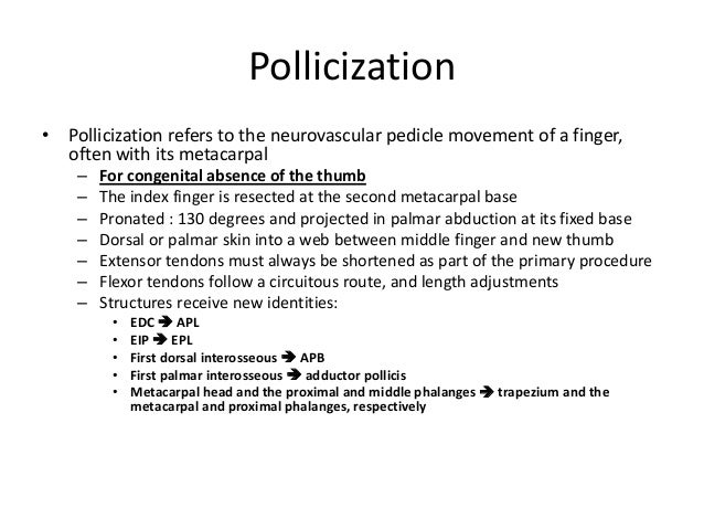 Thumb reconstruction