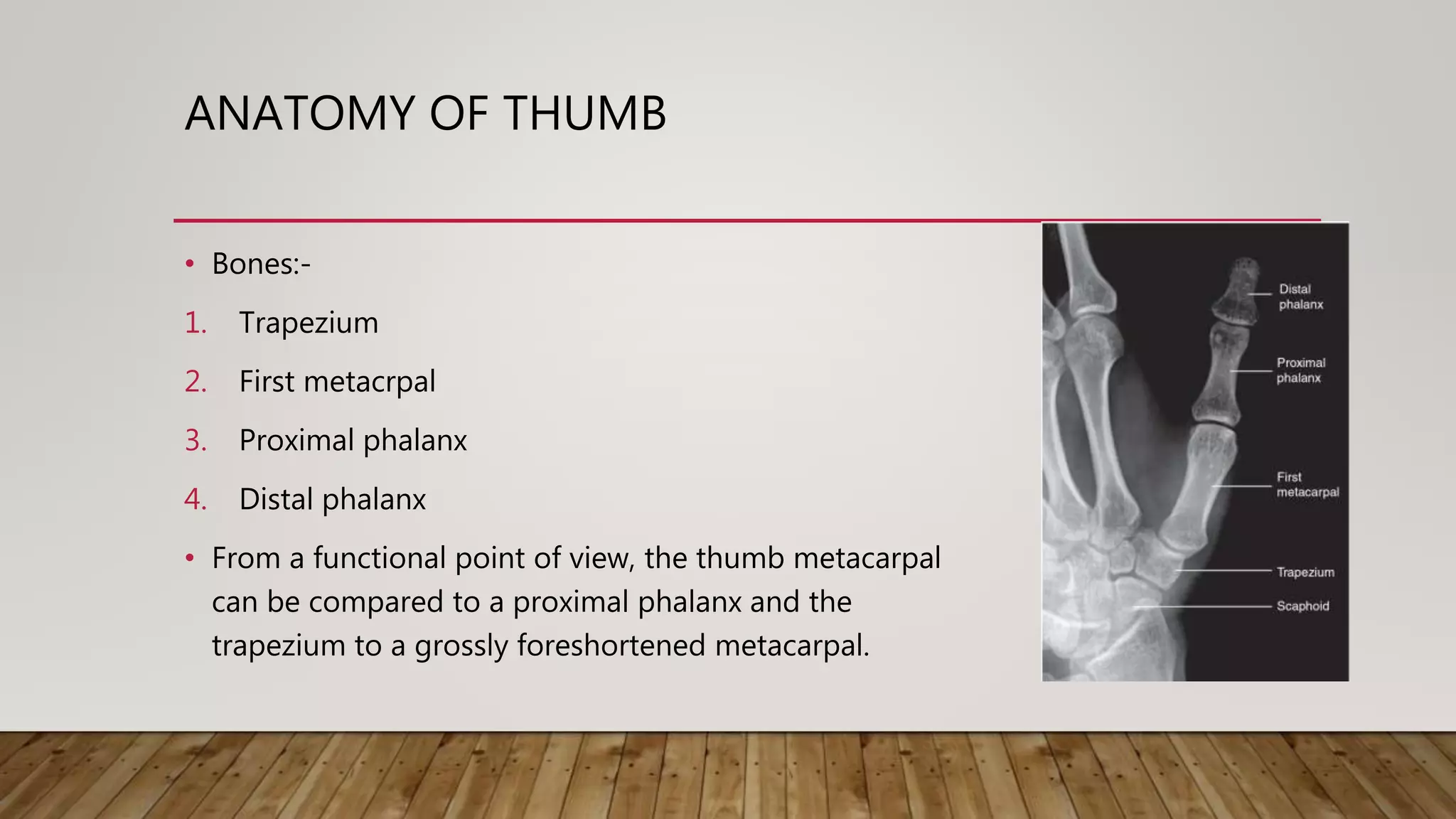 Thumb reconstruction | PPTX