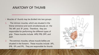 Thumb reconstruction | PPTX