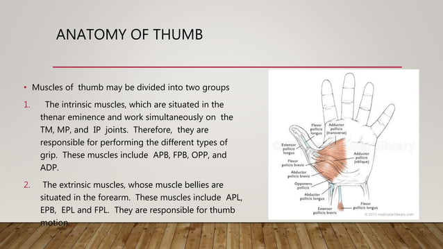 Thumb reconstruction | PPT