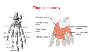 Thumb soft tissue defects | PPTX