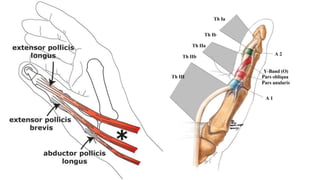 Thumb soft tissue defects | PPTX