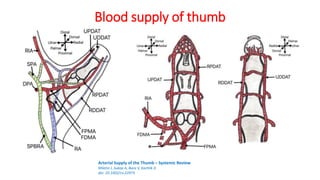 Thumb soft tissue defects | PPTX