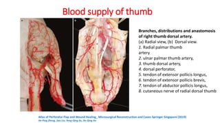 Thumb soft tissue defects | PPTX