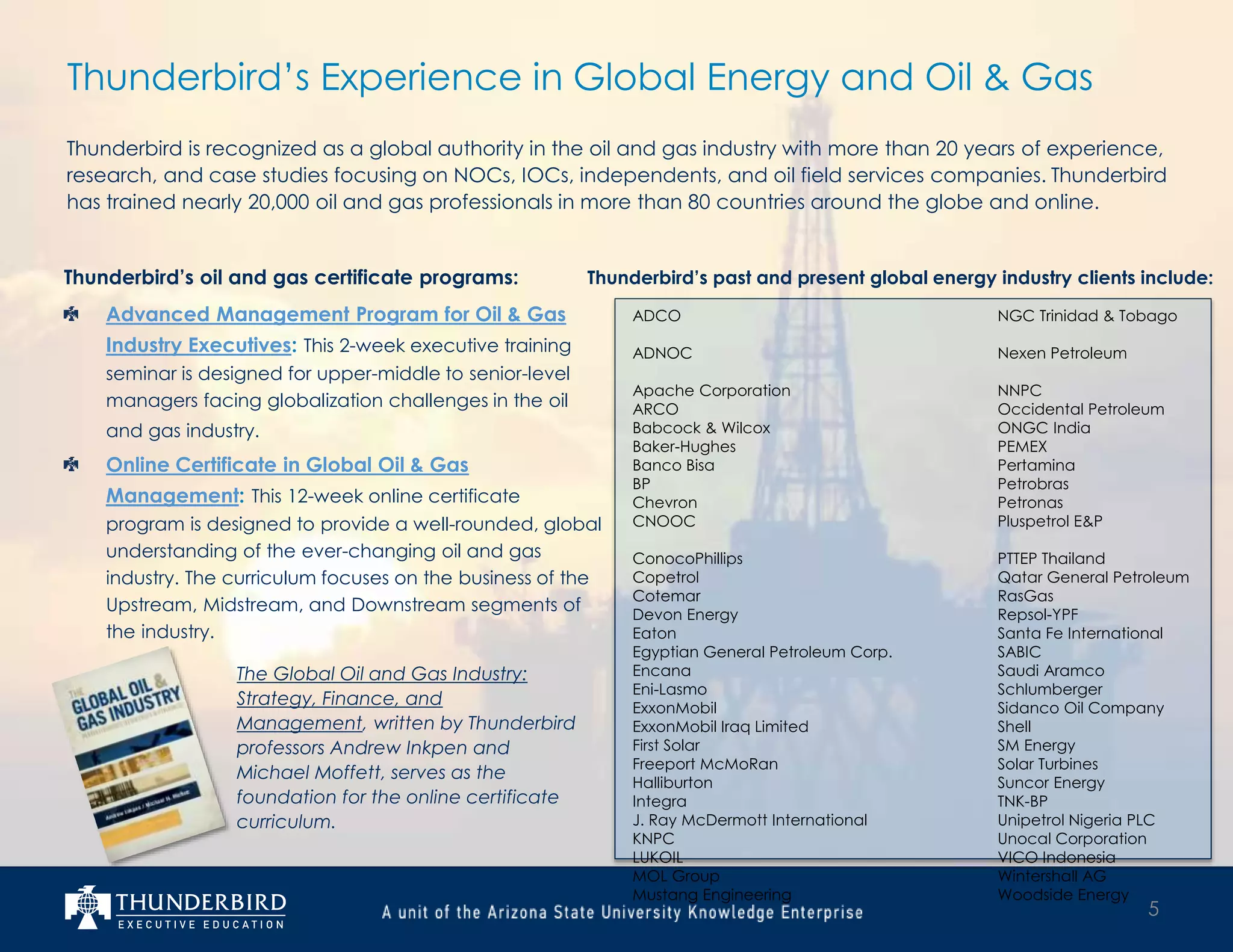 Thunderbird Executive Education: Global Energy Industry Expertise | PDF