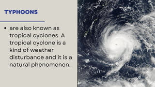 Typhoons in Science in Elementary Grades | PDF