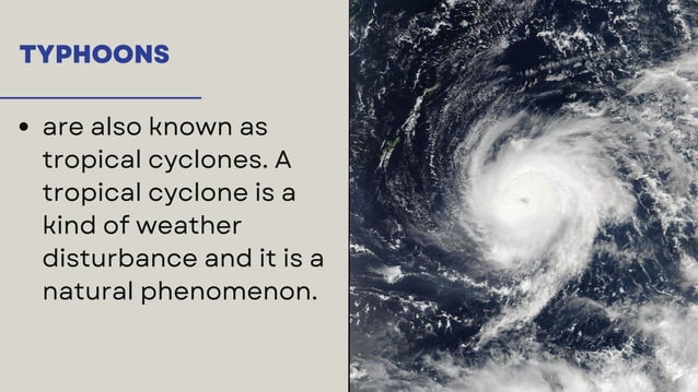 Typhoons in Science in Elementary Grades | PDF | Weather | Science