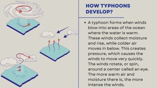 Typhoons in Science in Elementary Grades | PDF