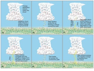 Thunderstorms, Tornadoes, Hurricanes Oh My! | PPTX
