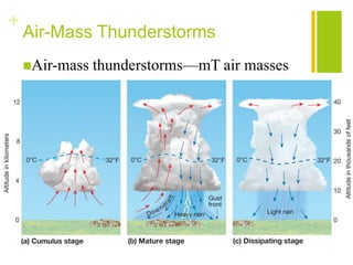 Thunderstorms, Tornadoes, Hurricanes Oh My! | PPTX