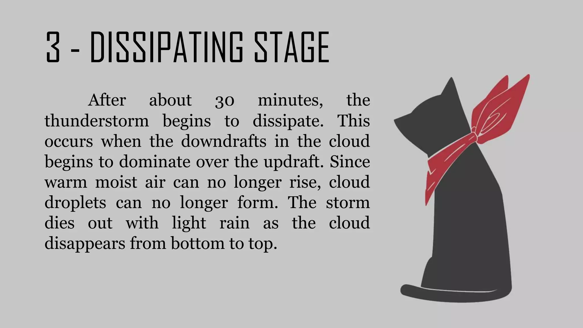 THUNDERSTORMS | PDF