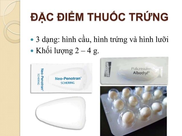 Thuoc dat | PPTX