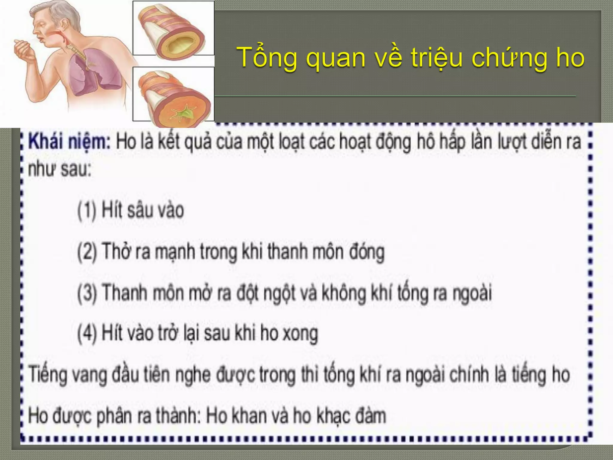 Thuoc ho long_dam | PDF