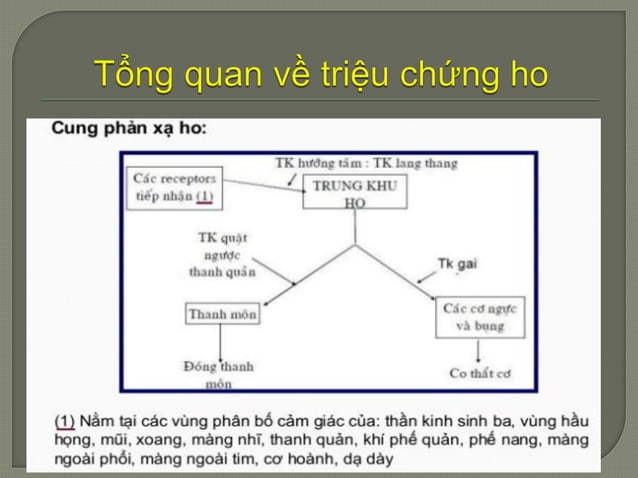 Thuoc ho long_dam | PDF