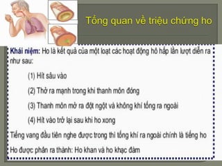 Thuoc ho long_dam | PDF
