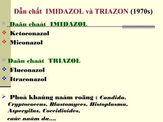 Thuoc khang nam | PPT